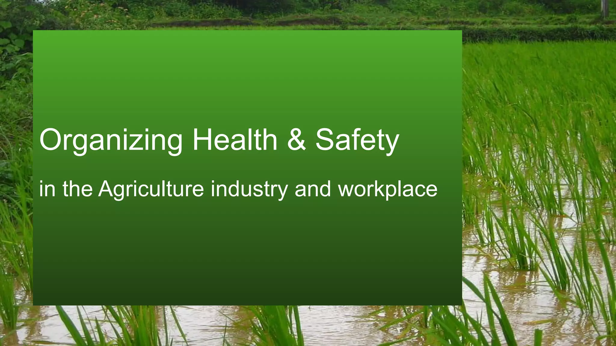 Occupational Safety, Health and Environment for the Agricultural ...