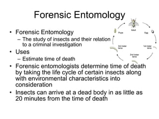 Overview History of Forensic Science | PPT