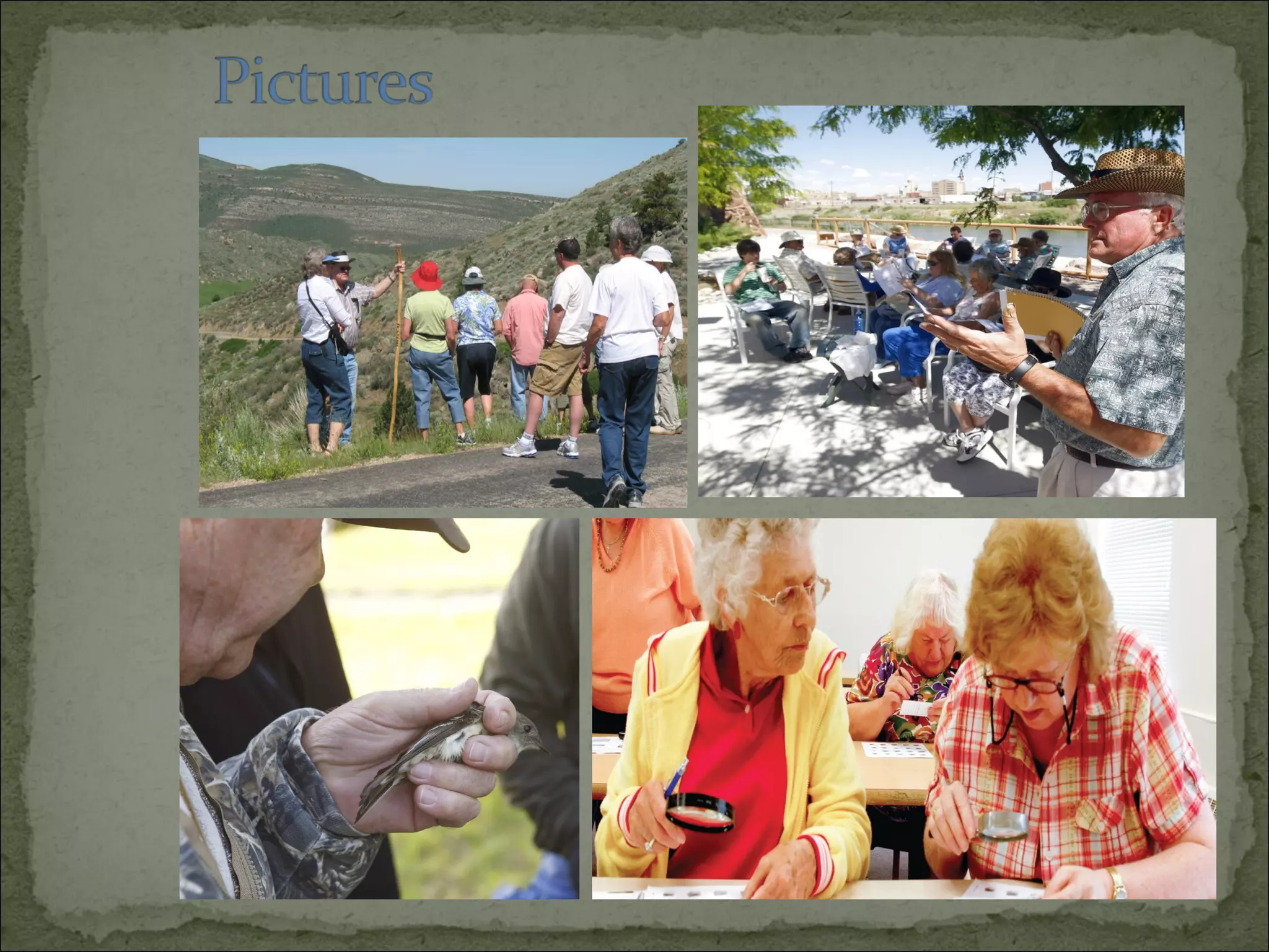 Osher Lifelong Learning Institute Ppt 2832