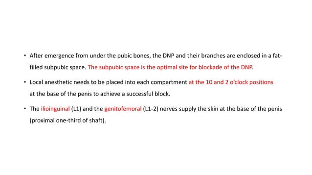 Oshiba circumcision | PPT