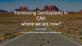 oshiba feminizing genitoplasty.pptx