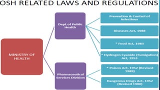 OSH in malaysia.pptx | Business | Business and Finance