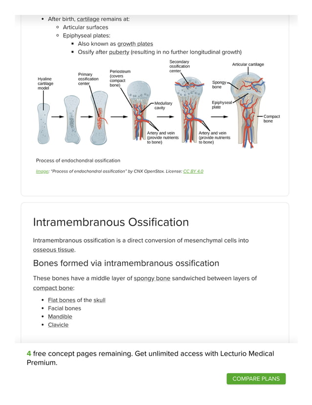 OSIFICACIÓN ÓSEA.pdf