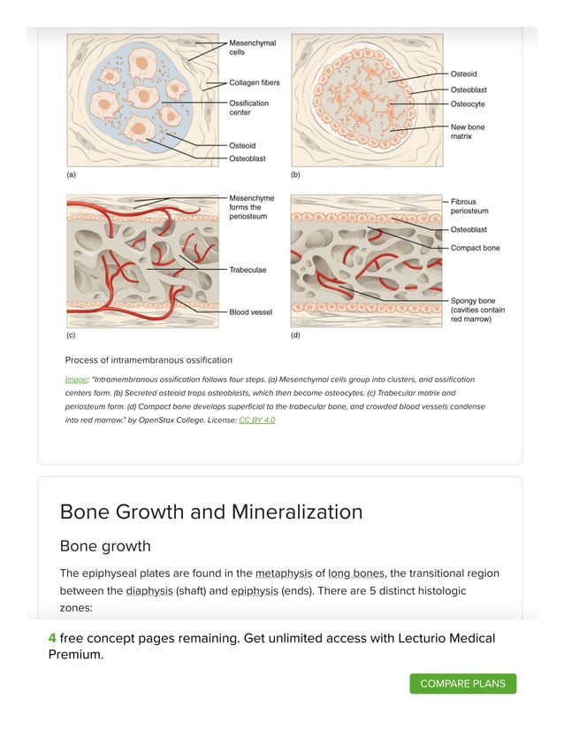OSIFICACIÓN ÓSEA.pdf
