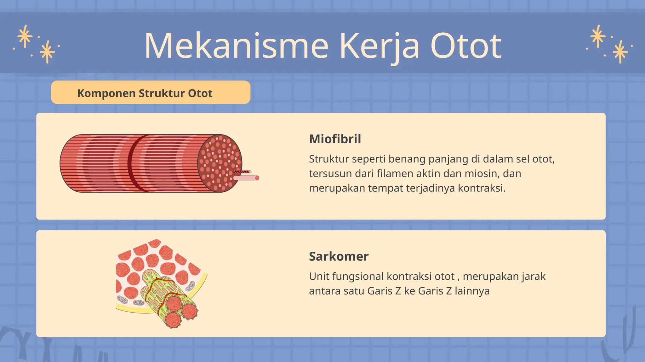 Osifikasi Tulang dan Mekanisme Cara Kerja Otot | PPTX