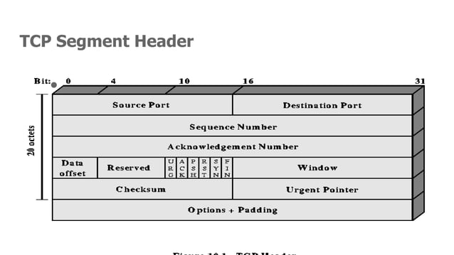 PEMROGRAMAN JARINGAN KOMPUTER TENTANG OSI LAYER | PPT