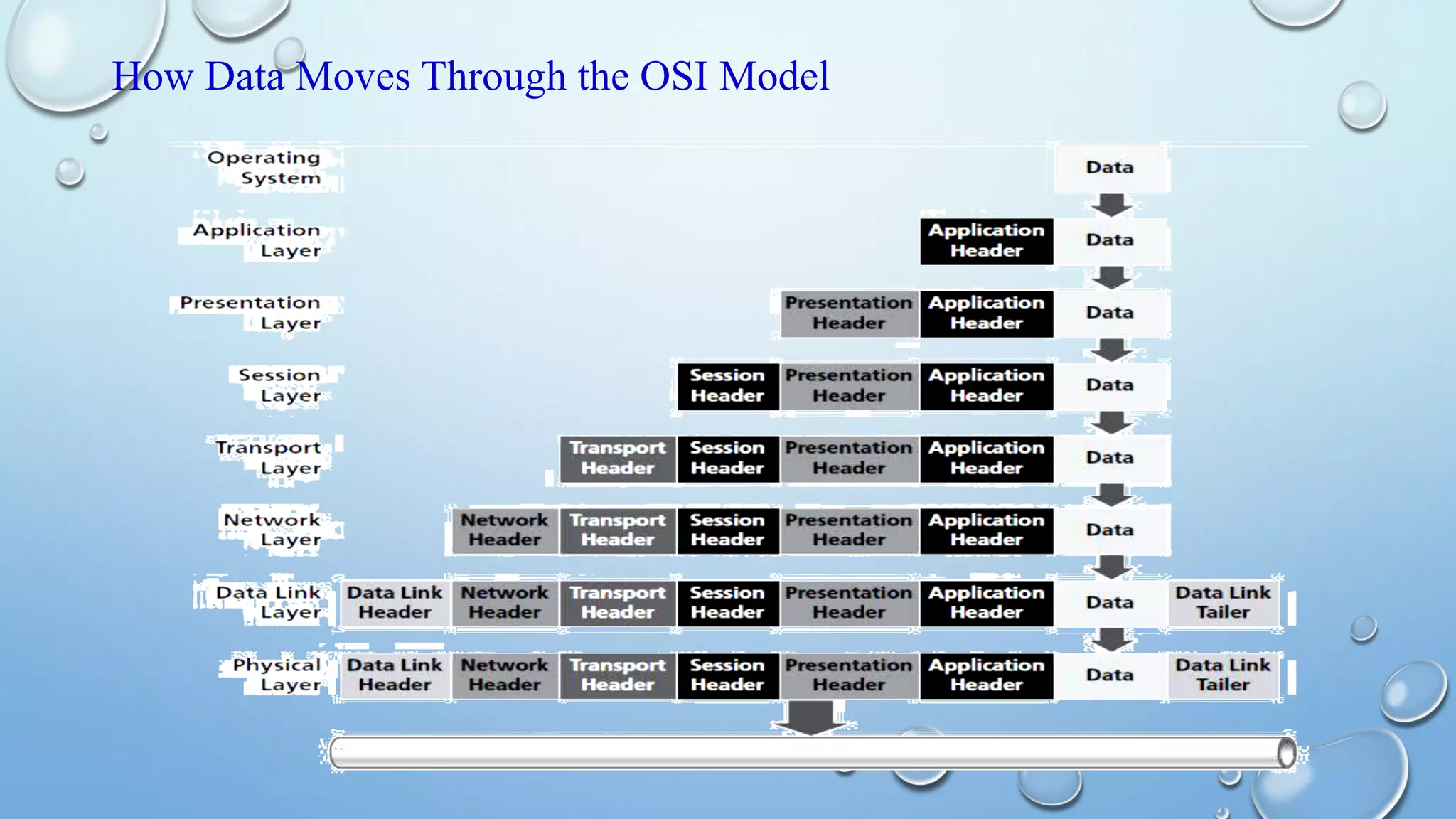OSI Model.pdf