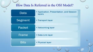 OSI Model.pdf