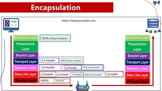 OSI Model-Network (updated version) .pdf