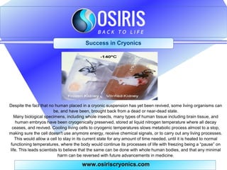 Human Preservation After Death | PPT | Biological Sciences | Science