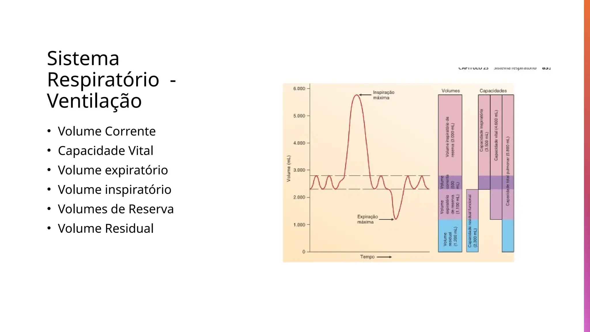 O Sistema Respiratório, Anatomia e funcionamento.pptx