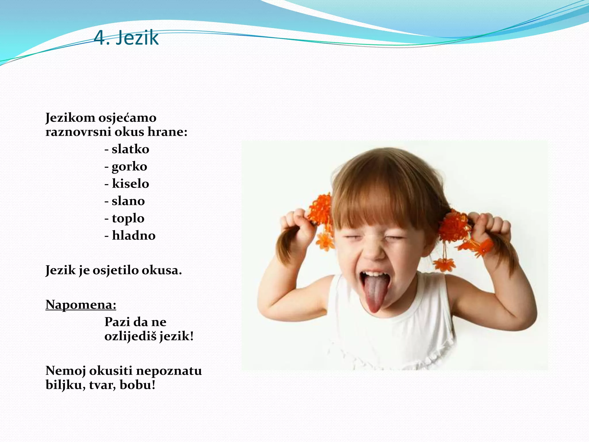 Osjet osjetila | PPTX