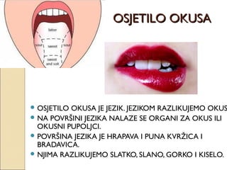 Osjetila | PPT