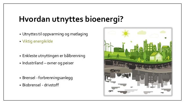 bioenergi