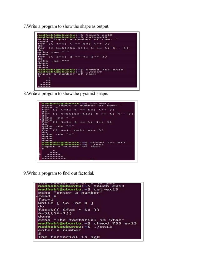 Os lab report(shell coding) | PDF