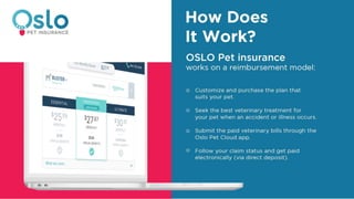 Oslo Pet insurance - Insurer Innovation Award 2024 | PPTX