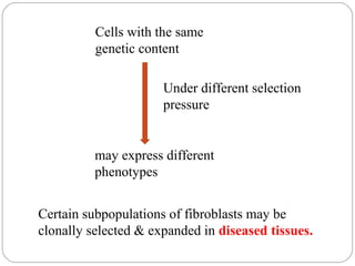 ETIOPATHOGENESIS OF OSMF | PPT