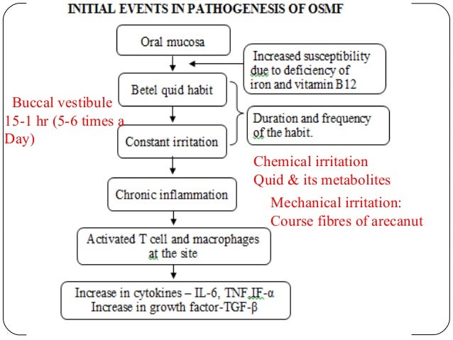 ETIOPATHOGENESIS OF OSMF