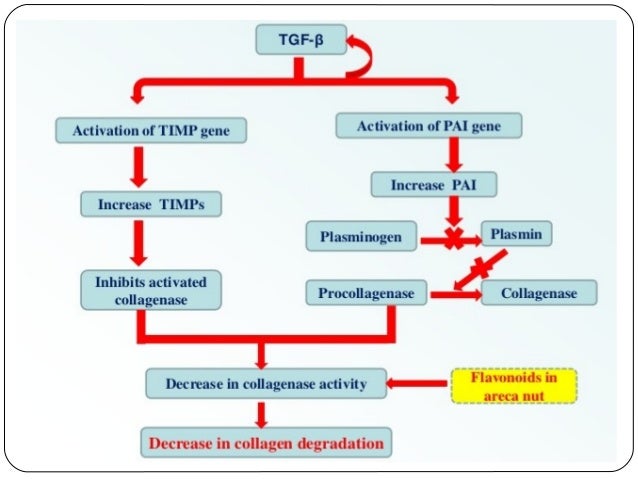 ETIOPATHOGENESIS OF OSMF