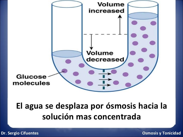 Osmolaridad y tonicidad