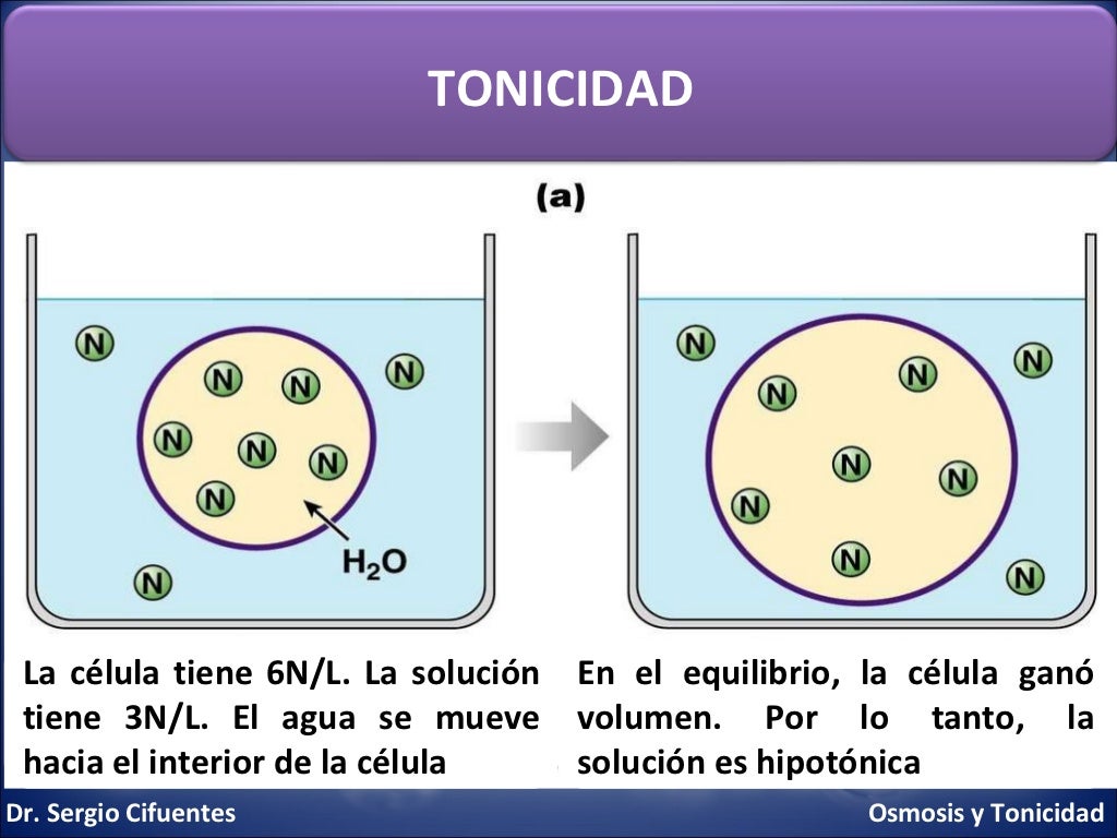 Osmolaridad y tonicidad