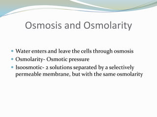Osmoregulation | PPTX