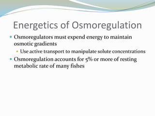 Osmoregulation | PPTX