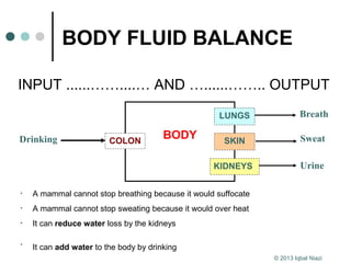 Osmoregulation | PPT