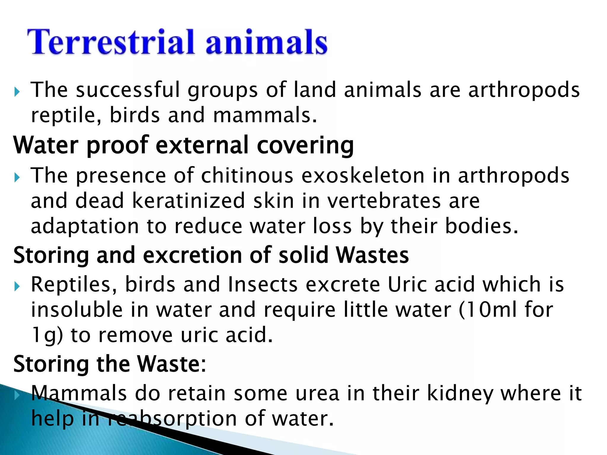 Osmoregulation in Animals | PPTX