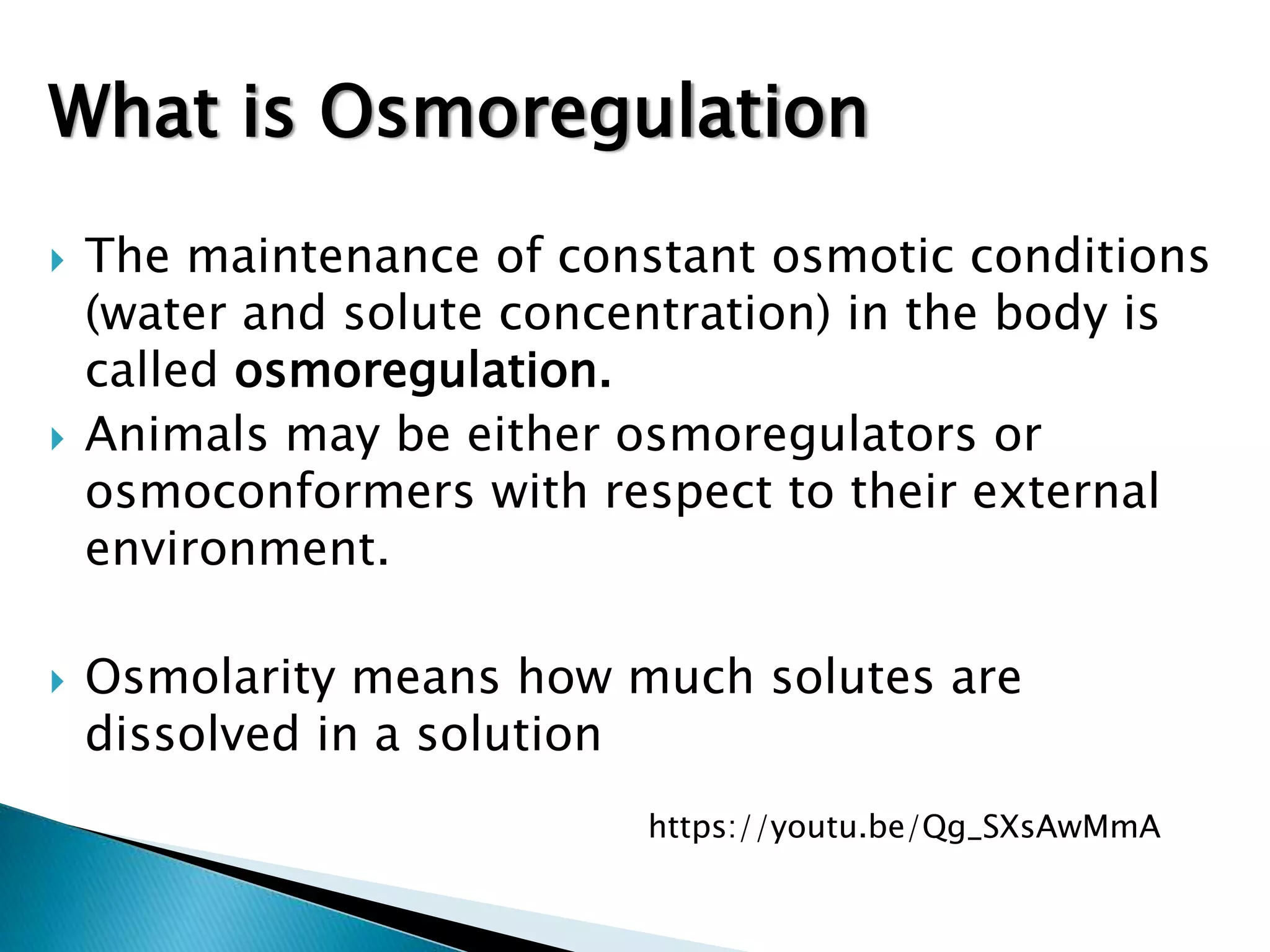 Osmoregulation in Animals | PPTX | Fish and Aquariums | Pets