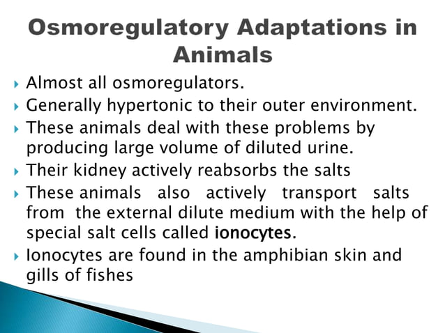 Osmoregulation in Animals | PPT