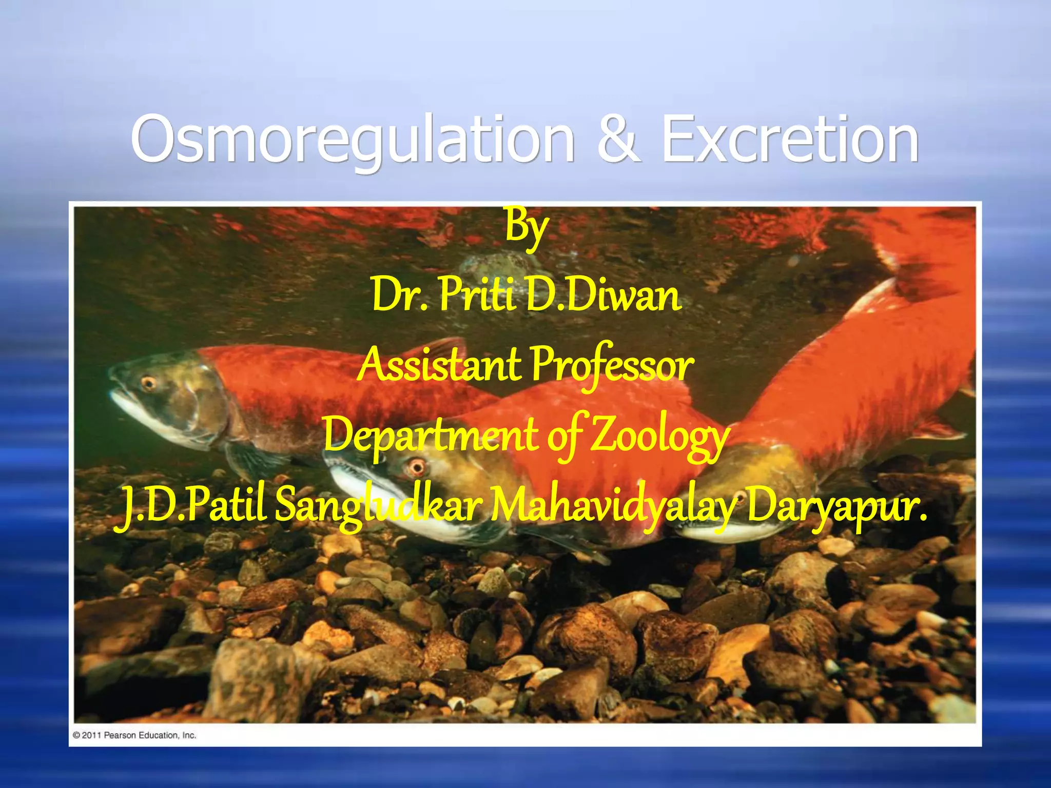 Osmoregulation | PPT