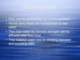 Osmoregulation | PPT