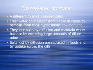 Osmoregulation | PPT
