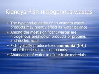 Osmoregulation | PPT