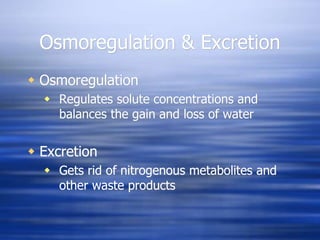 Osmoregulation | PPT