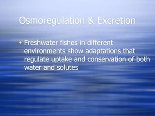 Osmoregulation | PPT