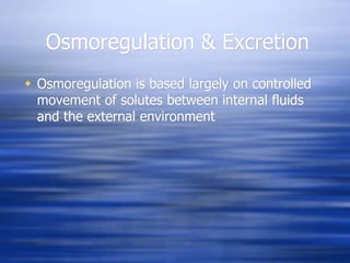 Osmoregulation | PPT