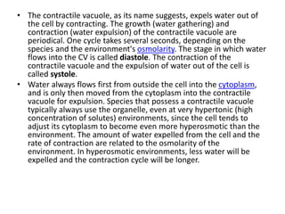OSMOREGULATION.pptx
