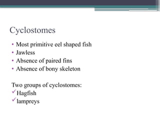 Osmoregulation in vertebrates for educational purposes | PPT