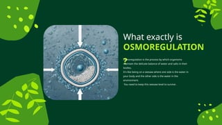 OSMOREGULATION another fish document.pptx