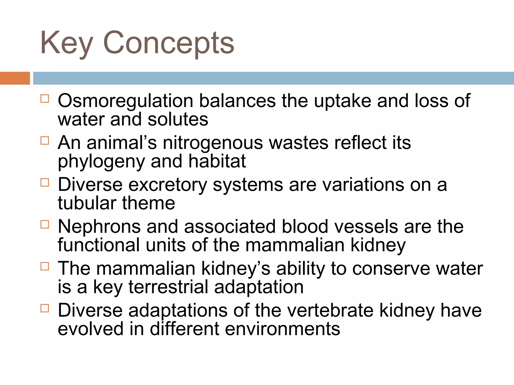 Osmoregulation and-excretion | PPT | Chemistry | Science