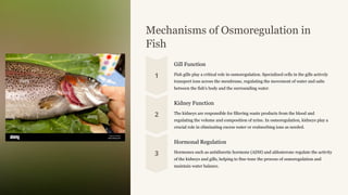 Osmoregulation-and-Ionic-Regulation-in-Aquatic-Animals.pptx
