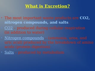 Osmoregulation and excretion | PPT