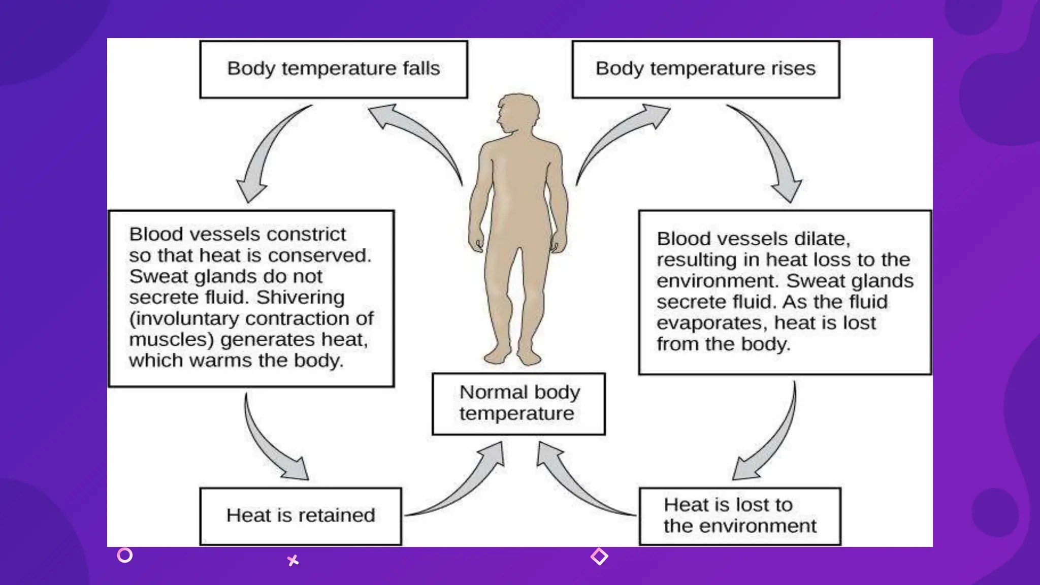 OSMOREGULATION AND EXCRETION.pptx