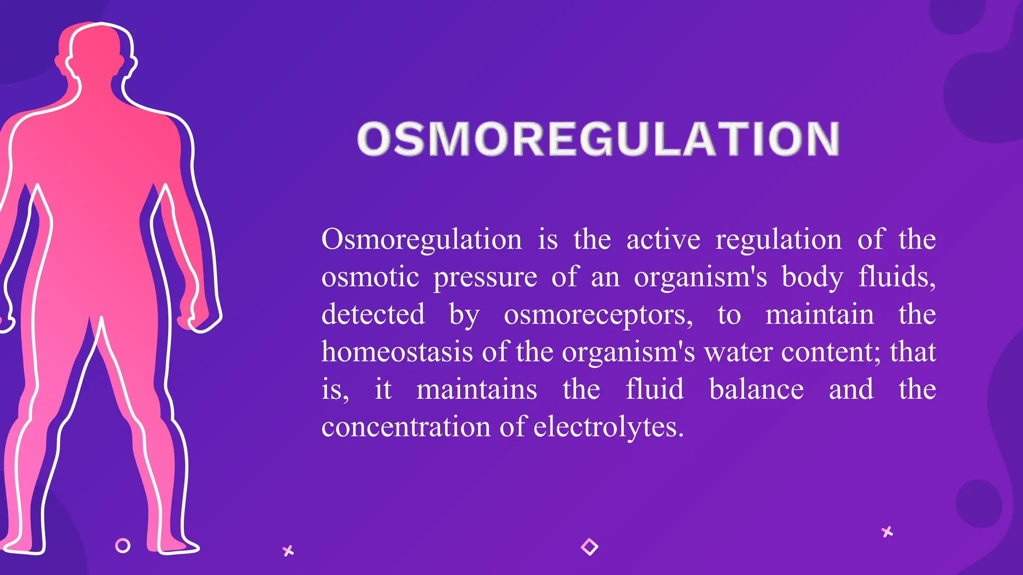 OSMOREGULATION AND EXCRETION.pptx