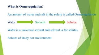 Osmoregulation in animal | PPTX