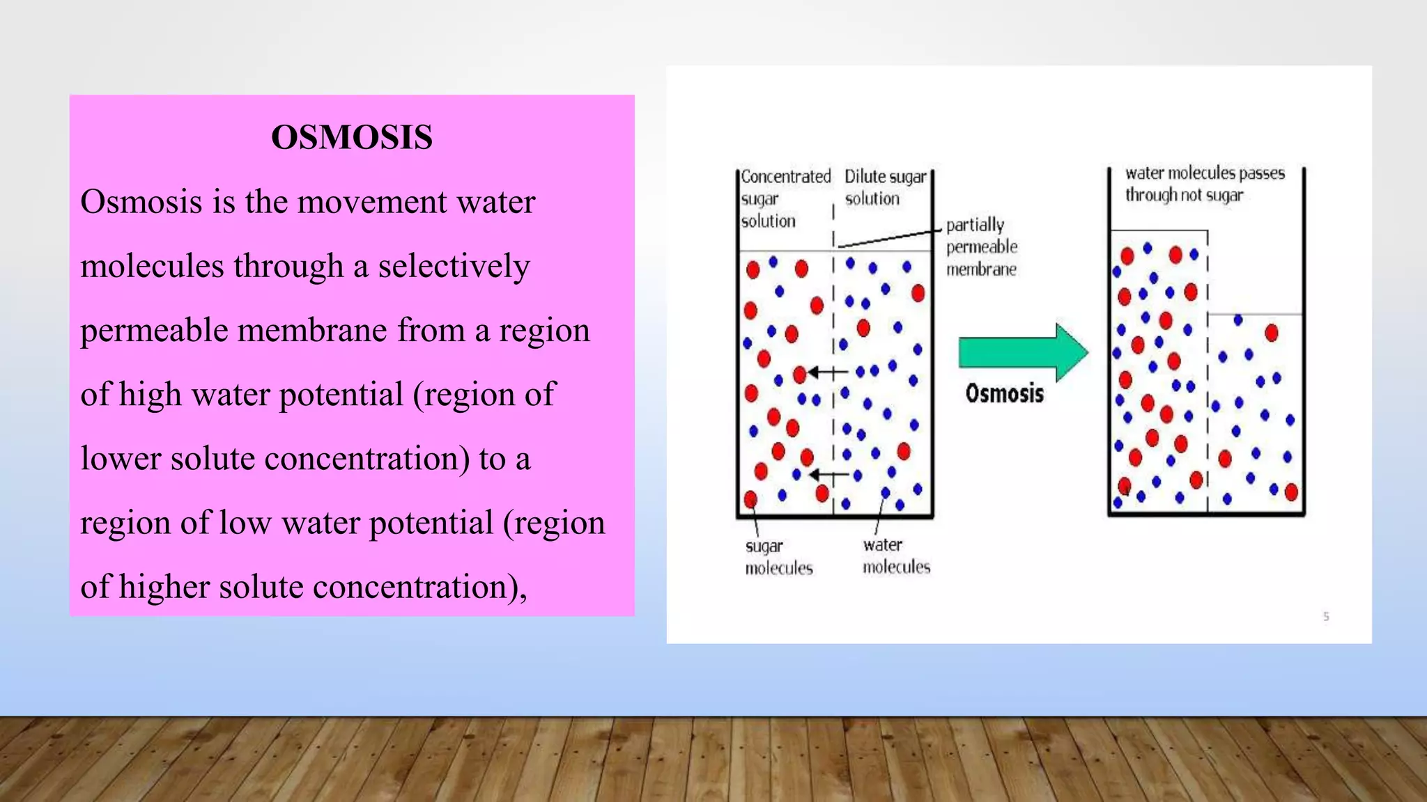 Osmoregulation in Fishes and Birds | PPTX
