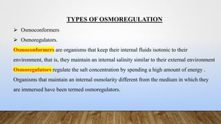 Osmoregulation in Fishes and Birds | PPTX