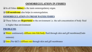 Osmoregulation in Fishes and Birds | PPTX